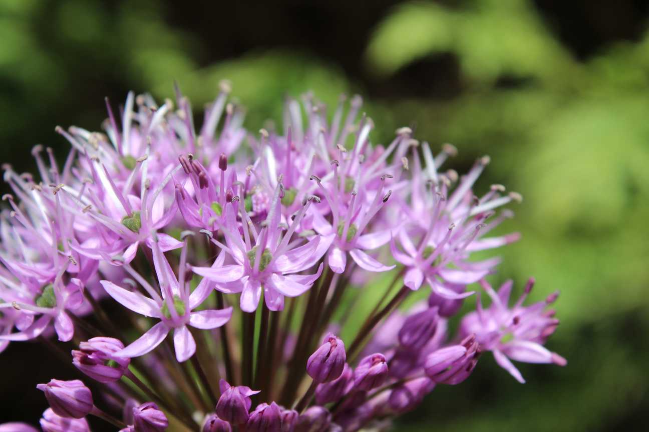 I can’t recommend this park enough... it’s absolutely beautiful, with ...